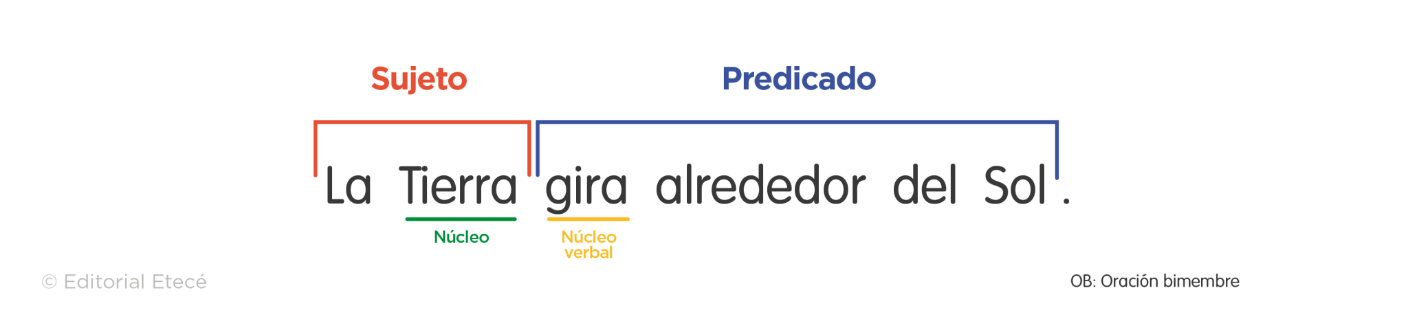 Núcleo del sujeto y predicado (qué es, ejemplos y oraciones)