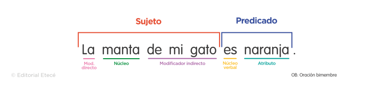 Núcleo del predicado (qué es, tipos y ejemplos)