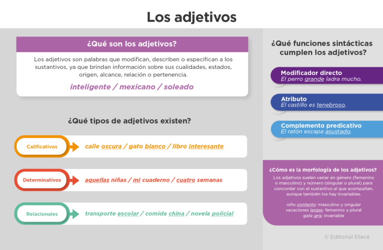 Adjetivos de personalidad (qué son, ejemplos) - Lenguaje.com