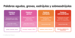 Palabras agudas, graves y esdrújulas (qué son y ejemplos)