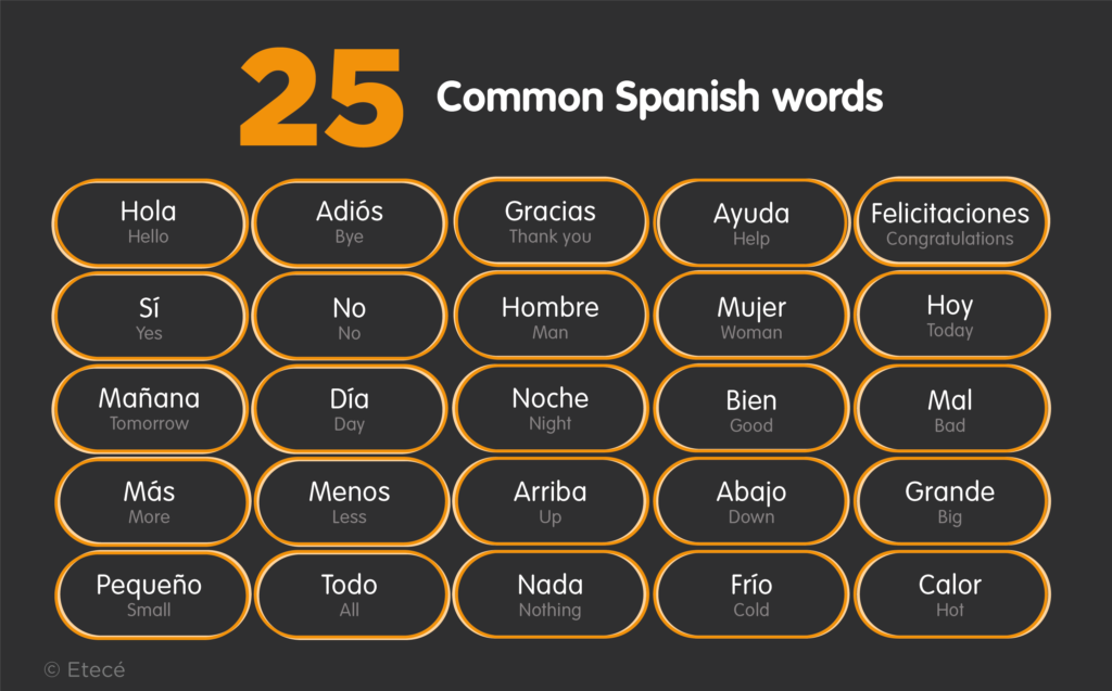 Spanish Words and Phrases for Beginners: Learn and Practice