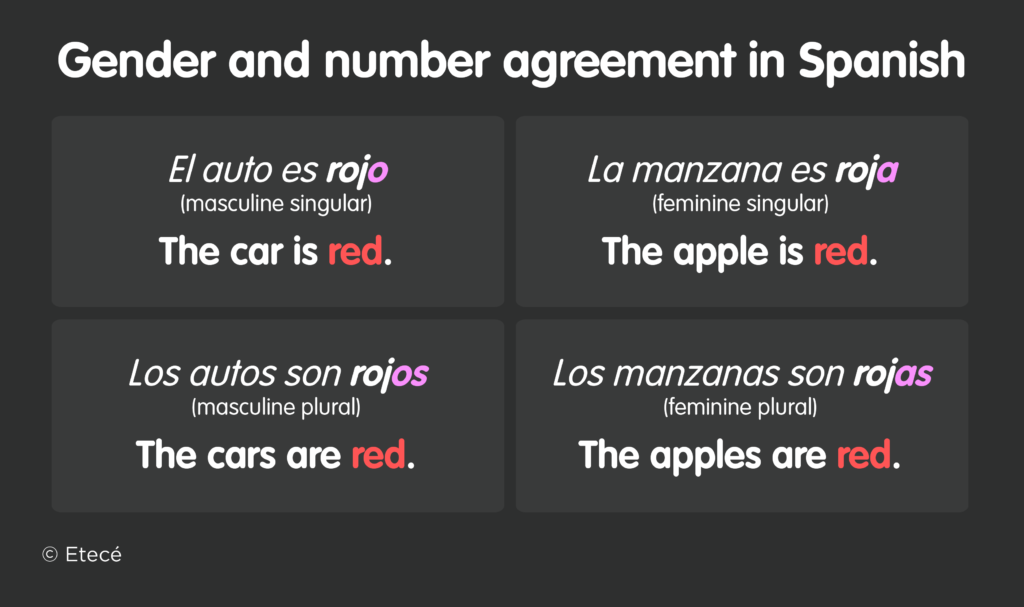 Spanish adjectives - Encyclopedia of Spanish Language